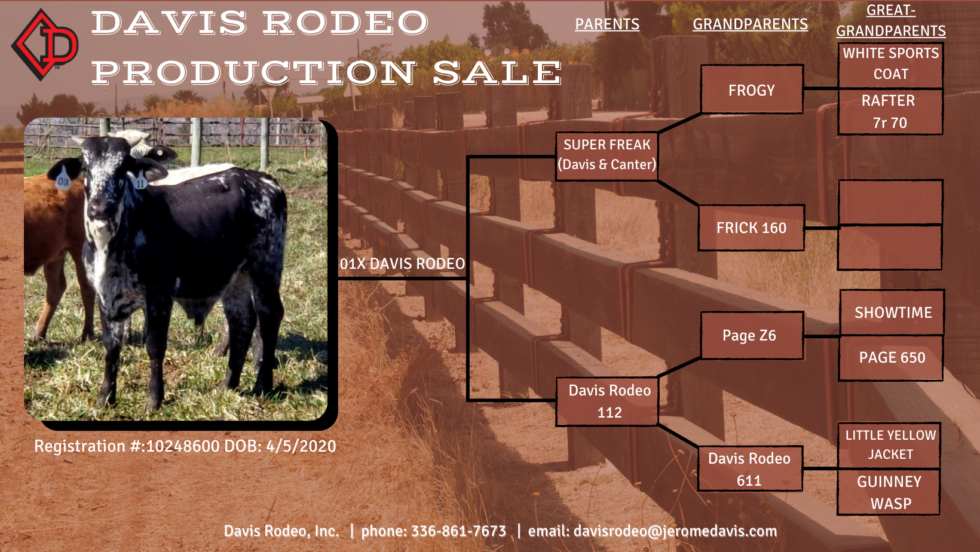 Bulls For Sale | Jerome Davis