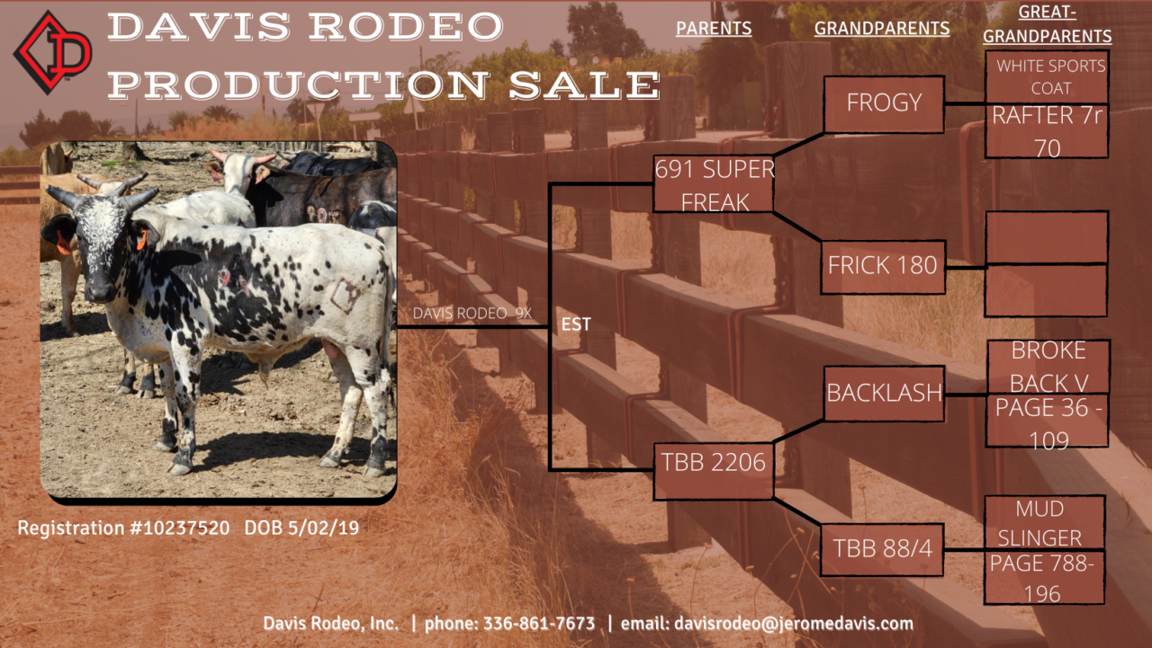 Bulls For Sale | Jerome Davis