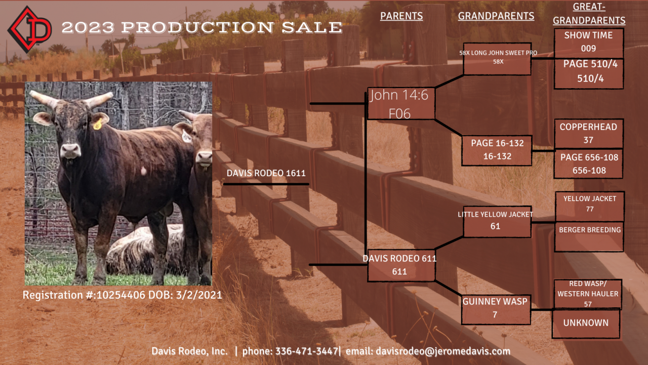 Bulls For Sale | Jerome Davis