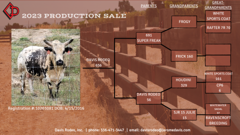 Bulls For Sale | Jerome Davis