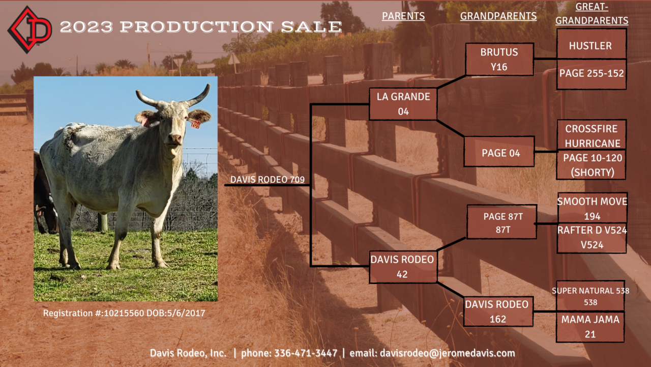 Bulls For Sale | Jerome Davis