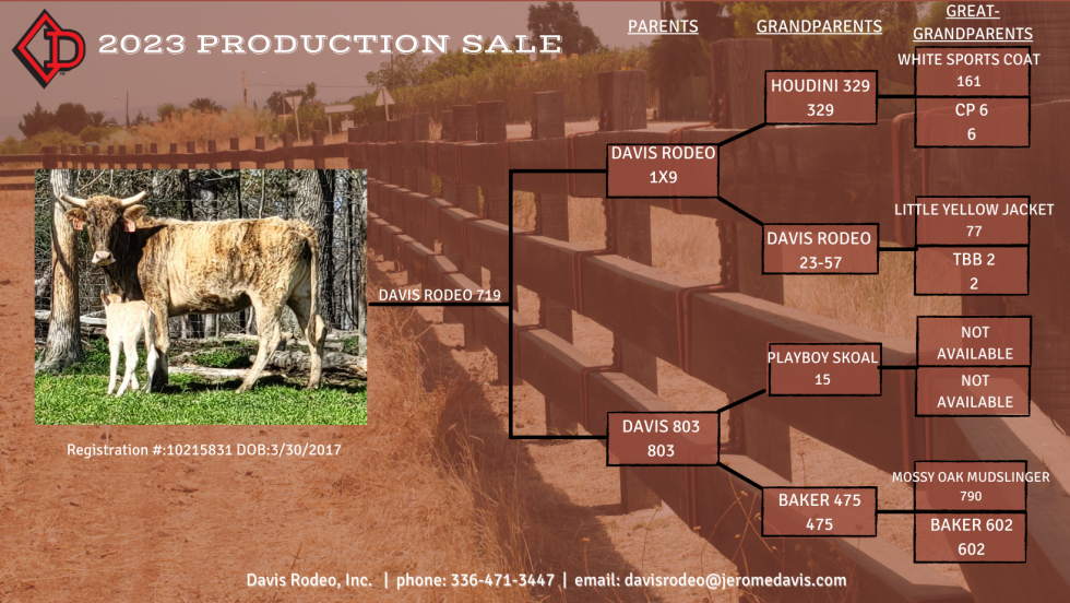 Bulls For Sale | Jerome Davis