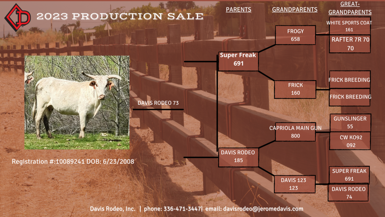 Bulls For Sale | Jerome Davis