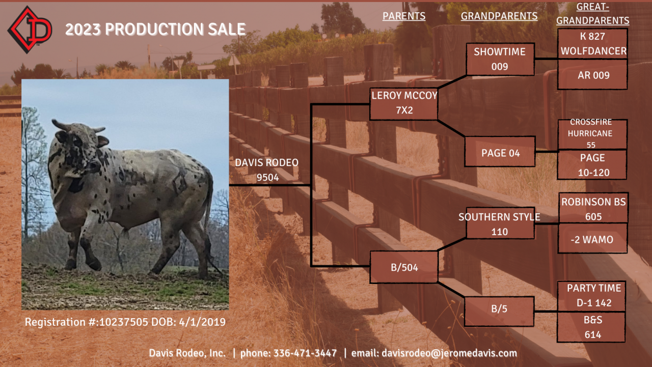 Bulls For Sale | Jerome Davis