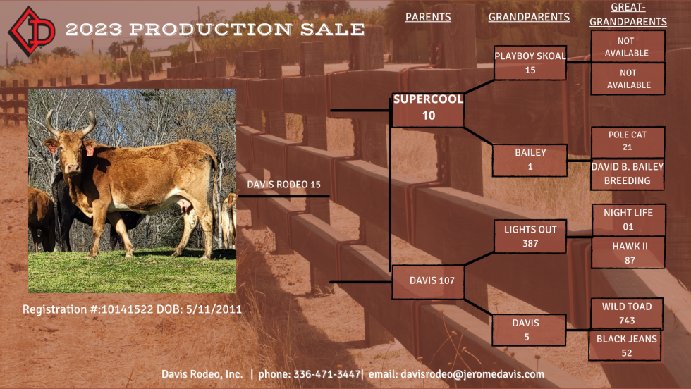 Bulls For Sale | Jerome Davis