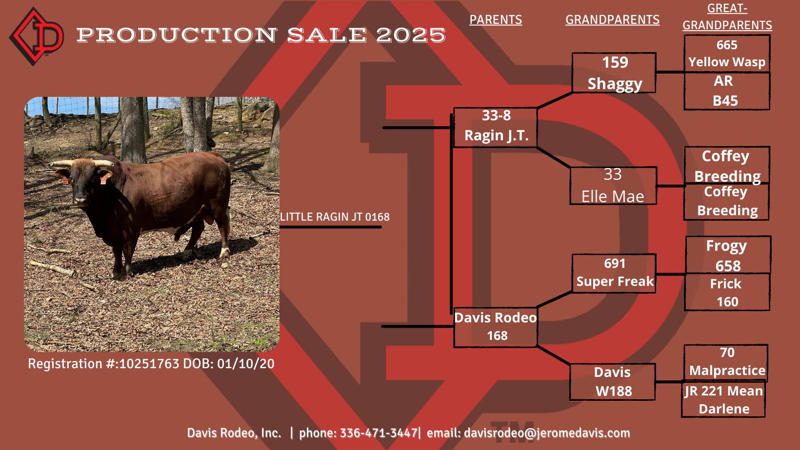 Davis Rodeo 0168 (2) | Jerome Davis